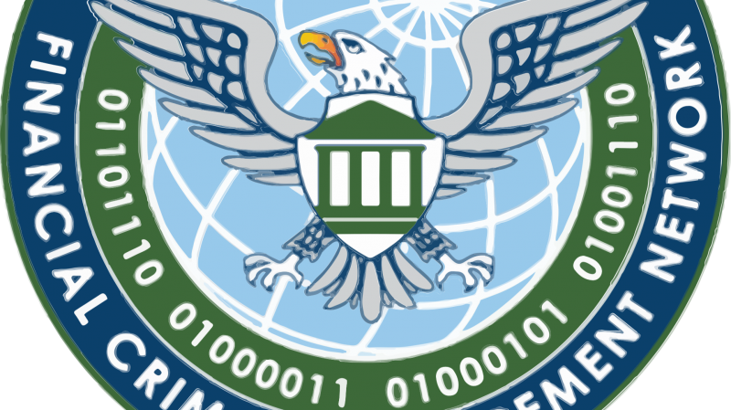 The Meaning of the FinCEN Files - Offshore Initiative